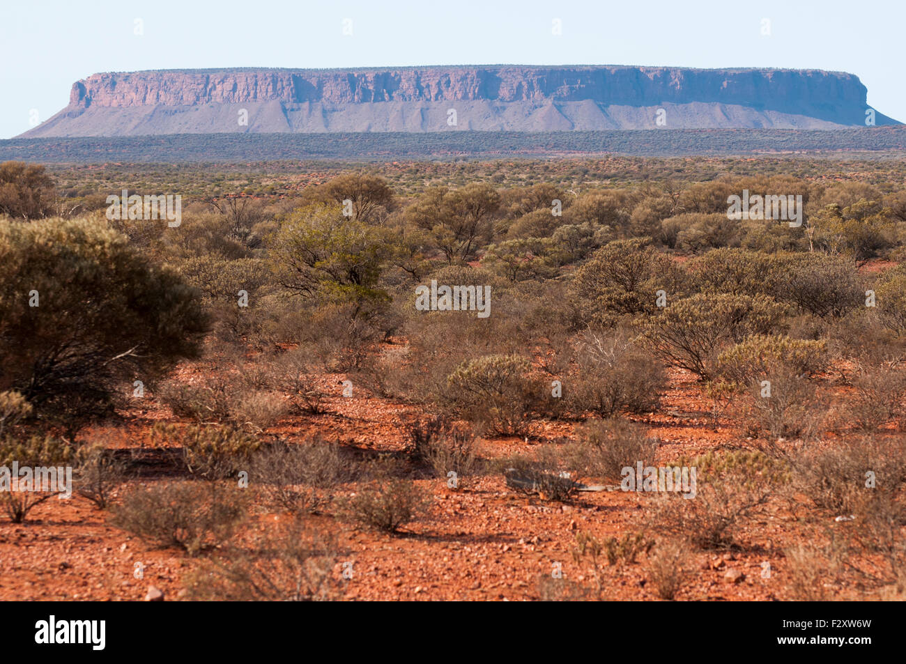 Mt Conner, Curtin Springs, Central Australia Stock Photo - Alamy