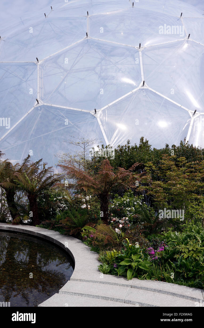 Cornwall biome hi-res stock photography and images - Alamy