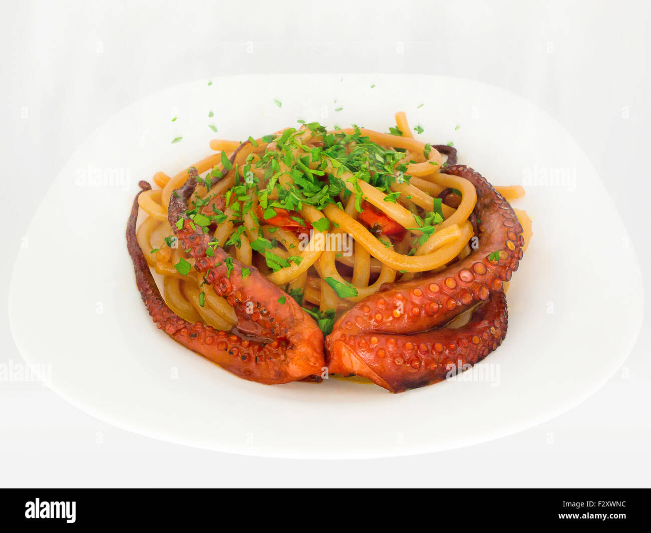 Spaghetti with octopus dish freshly prepared and served with plenty of ...