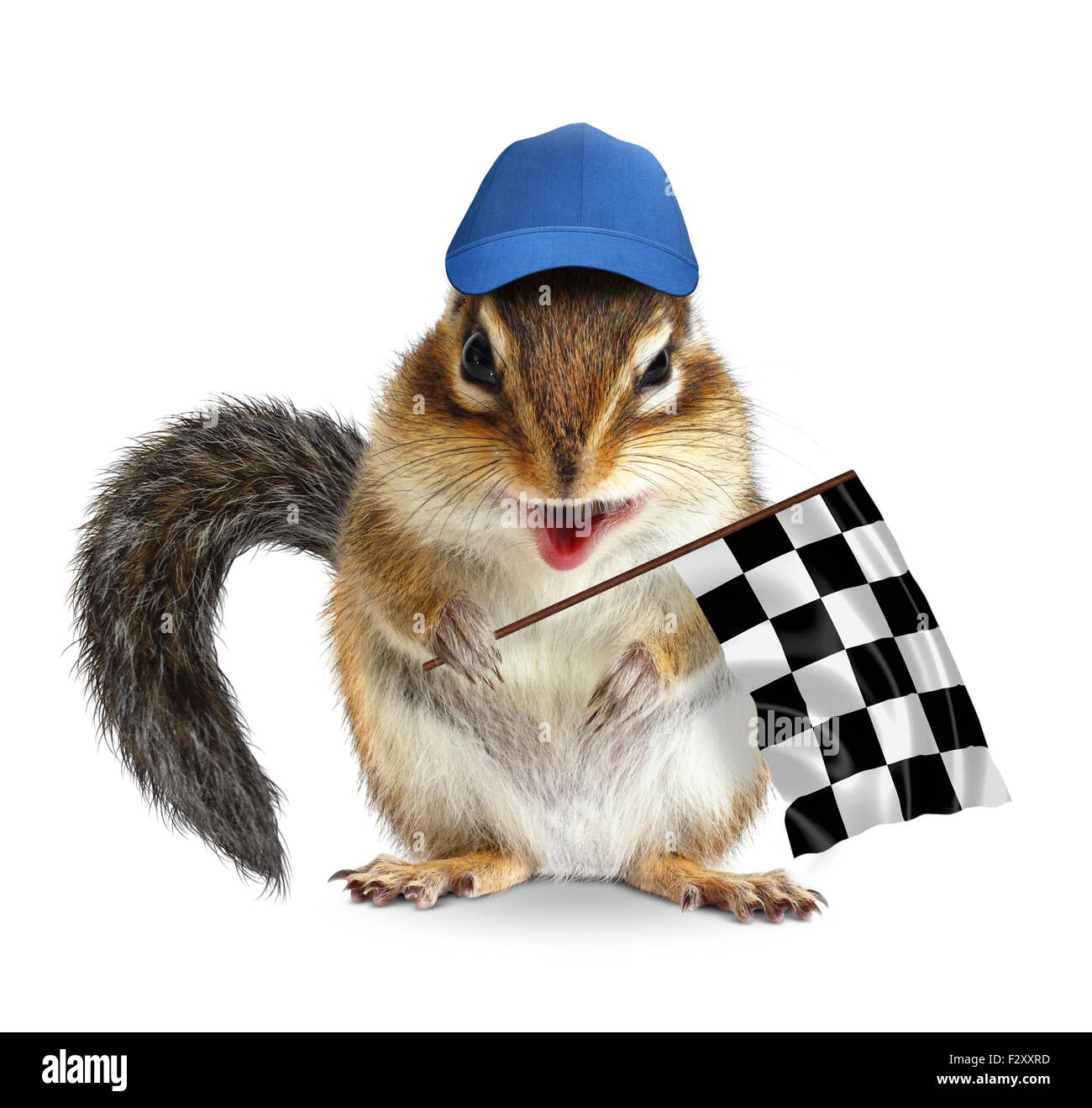 Crossed waving checkered racing Cut Out Stock Images & Pictures - Alamy