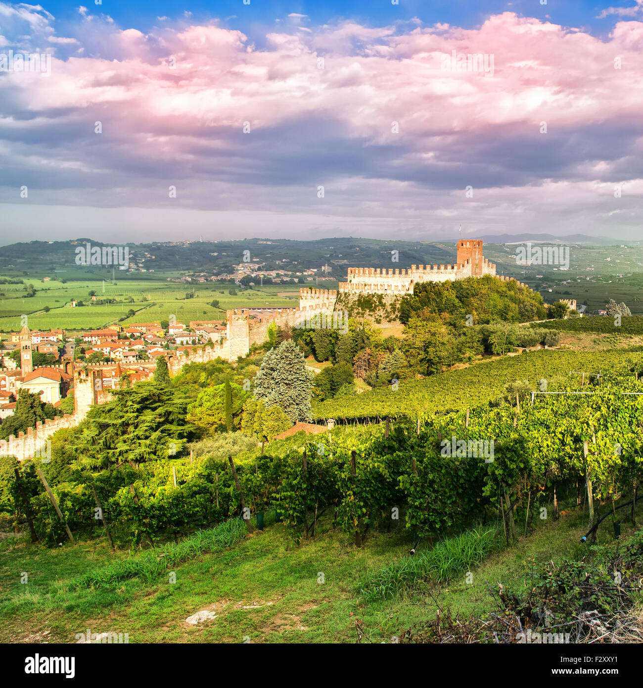 White castle vineyard hi-res stock photography and images - Alamy