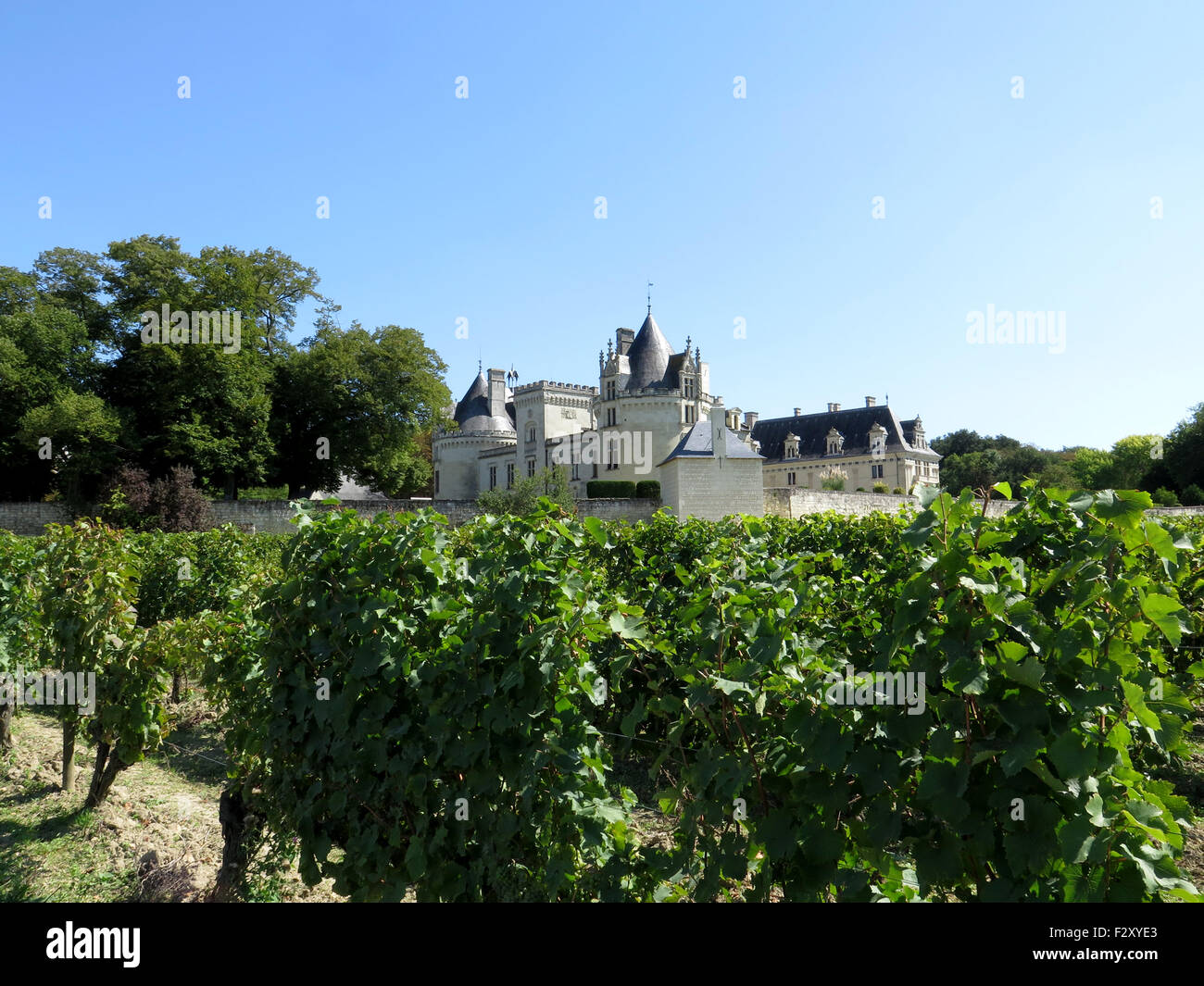Chateau de breze hi-res stock photography and images - Alamy