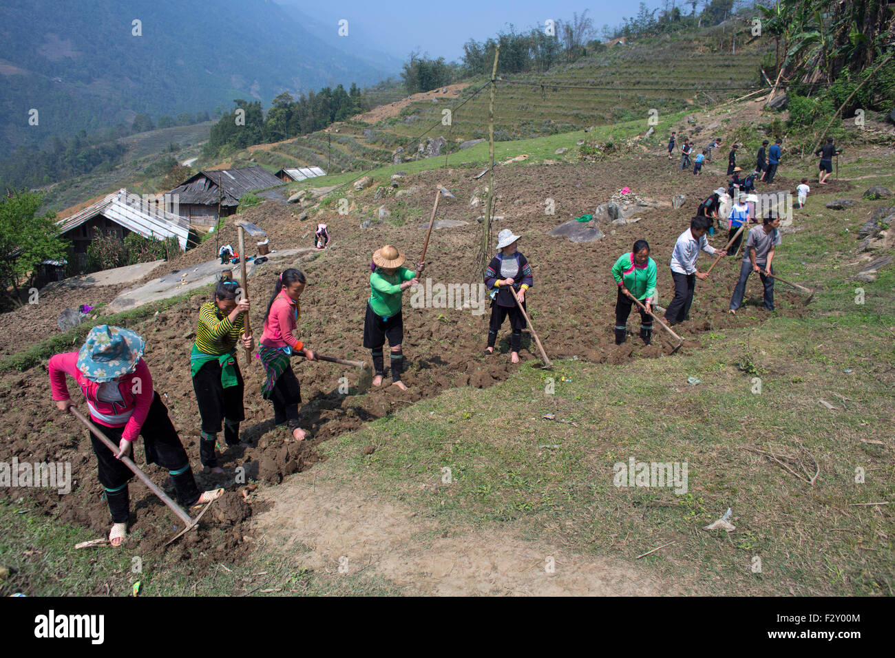 Hmong family hi-res stock photography and images - Alamy