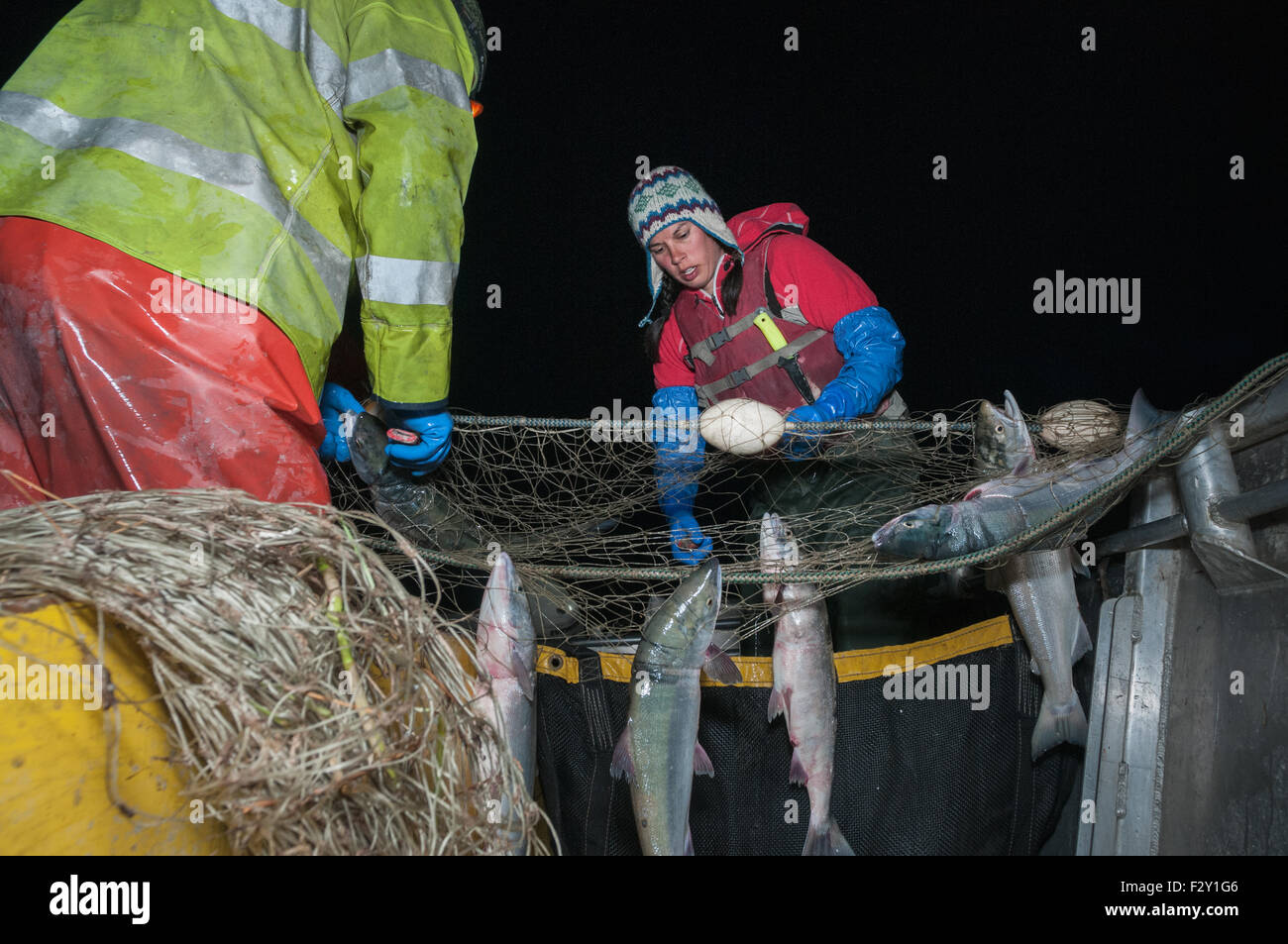 Set gill net fishing sockeye hi-res stock photography and images - Alamy