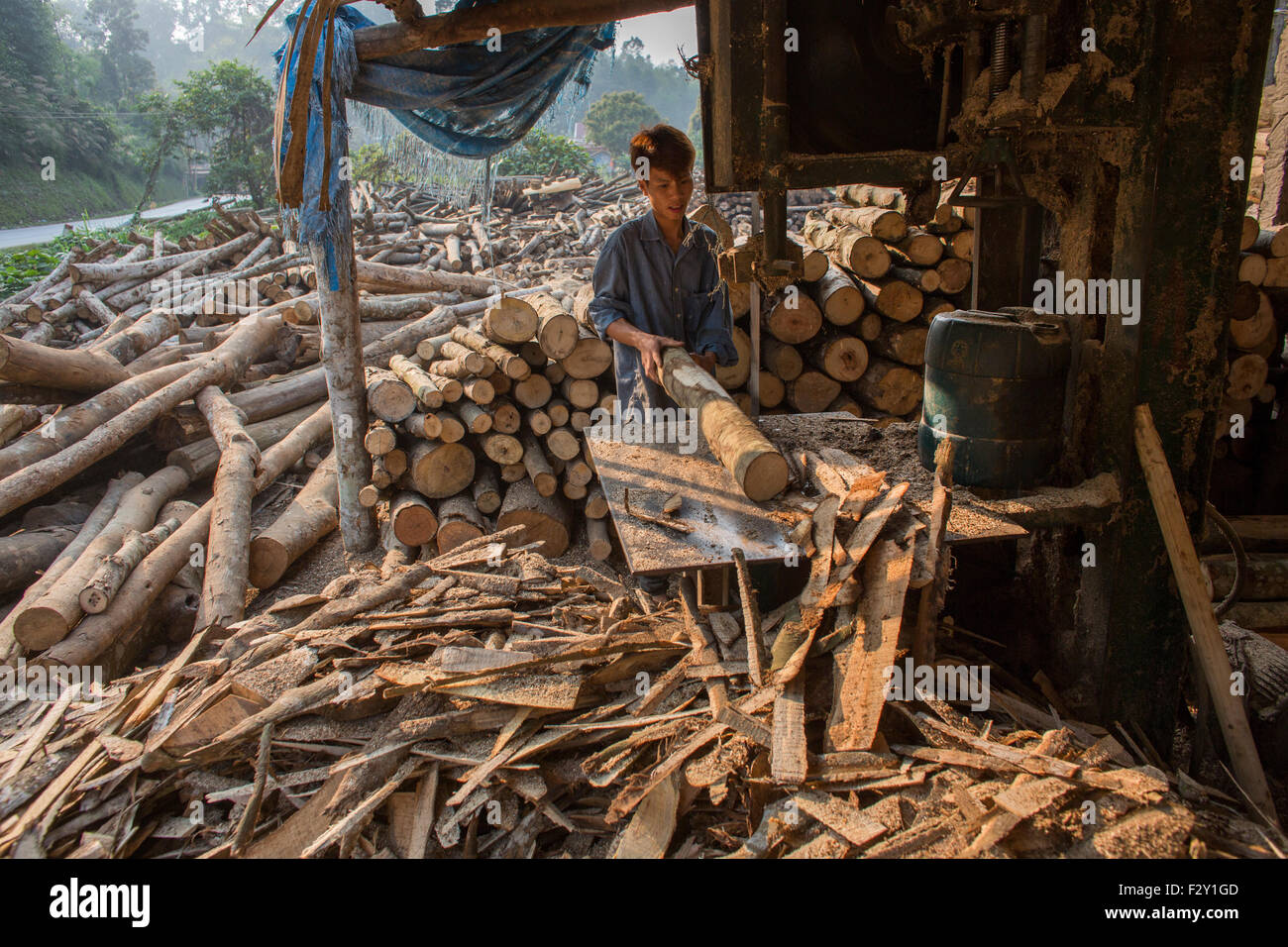 deforestation in Vietnam Stock Photo - Alamy
