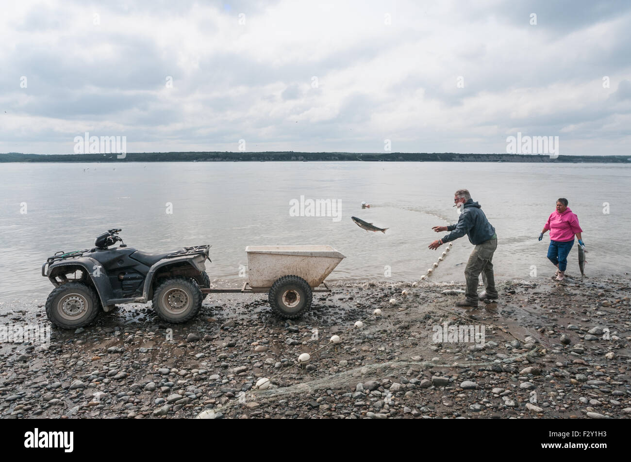 Subsistance fishing for sockeye salmon using beach gill net along the ...