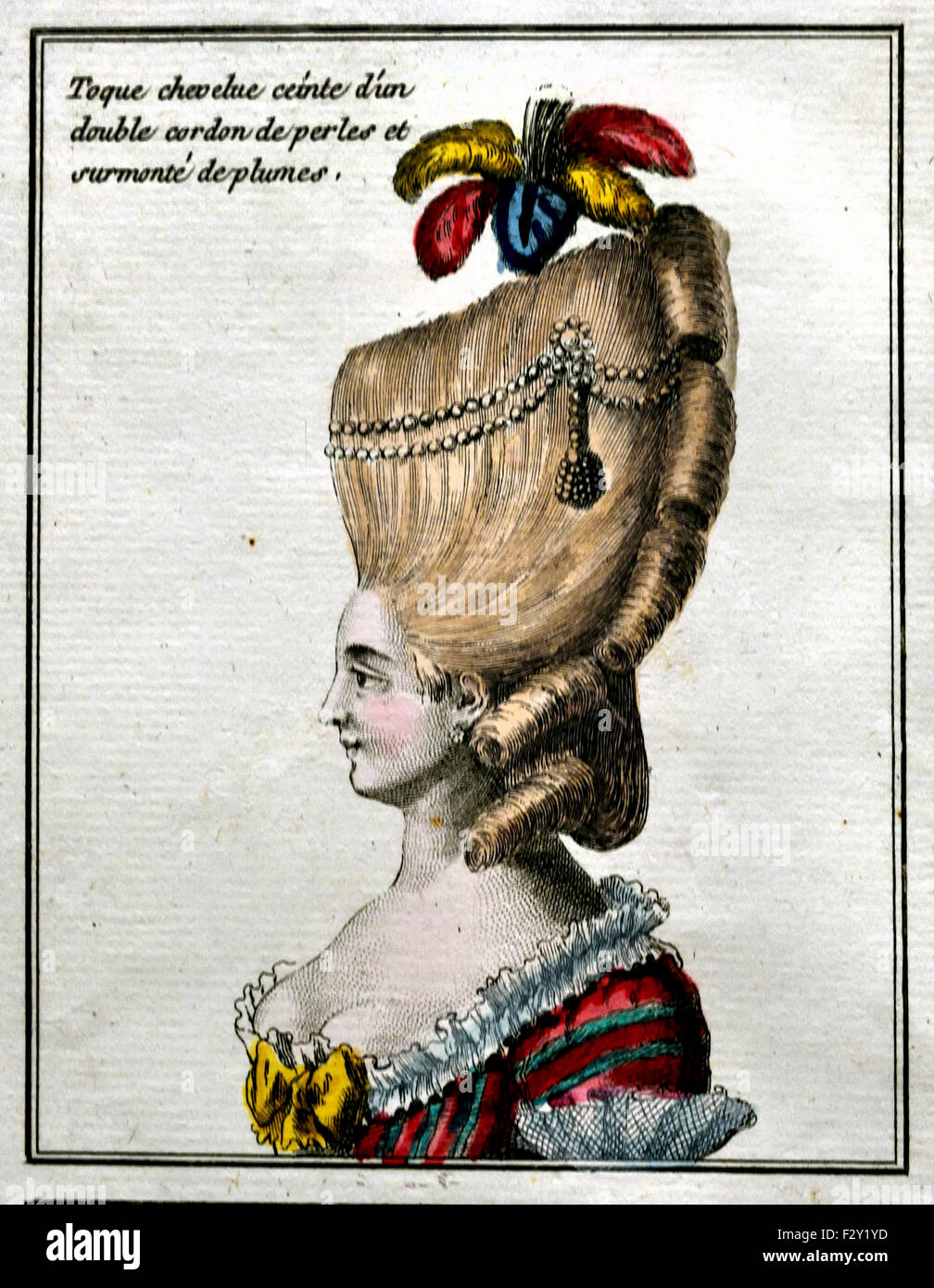 Insects print dress hi-res stock photography and images - Alamy