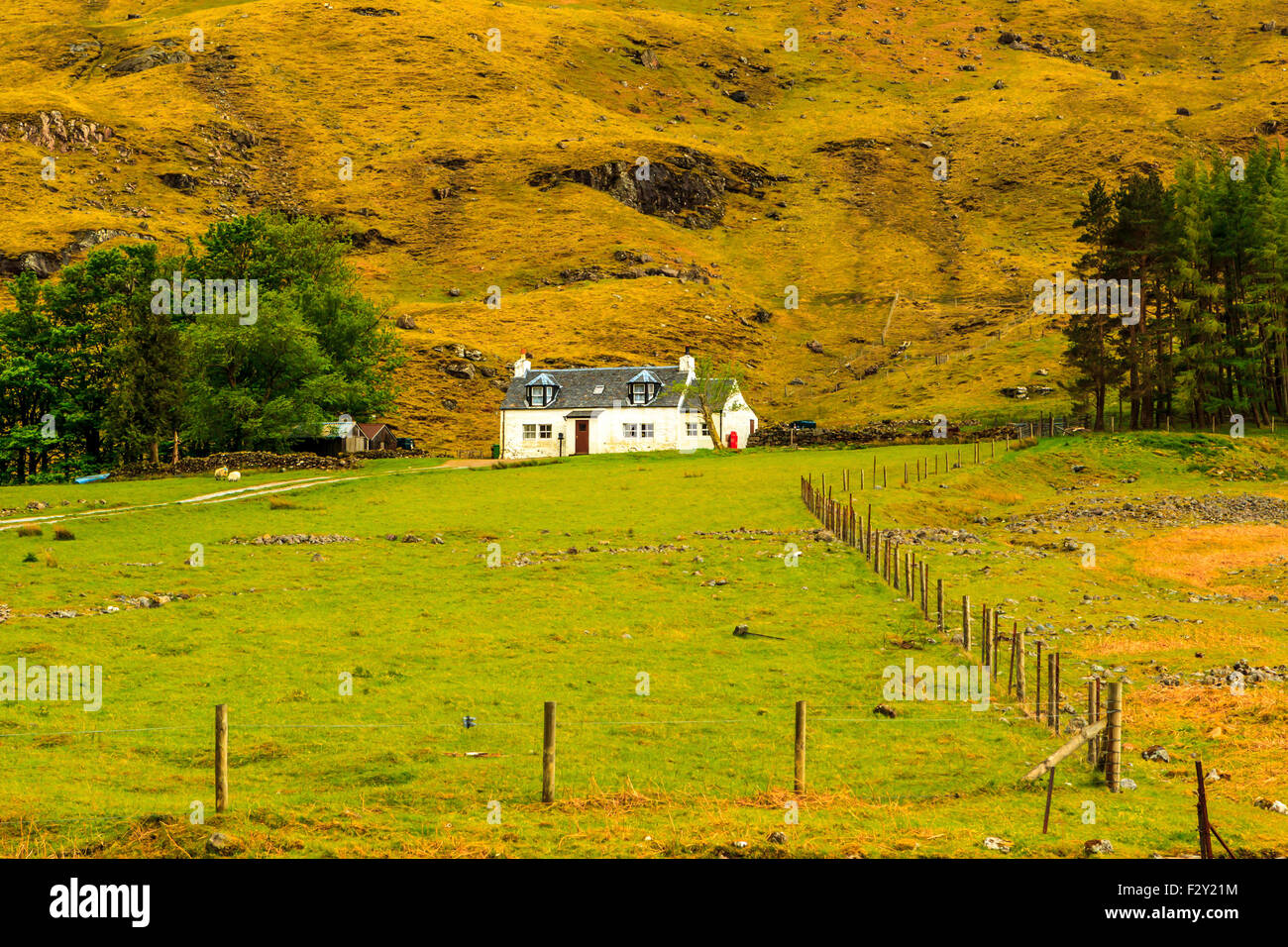Field hill house trees hi-res stock photography and images - Alamy