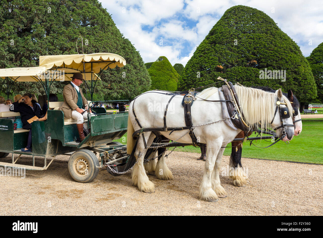 Horse and carriage ride in the formal gardens, Hampton Court Palace ...