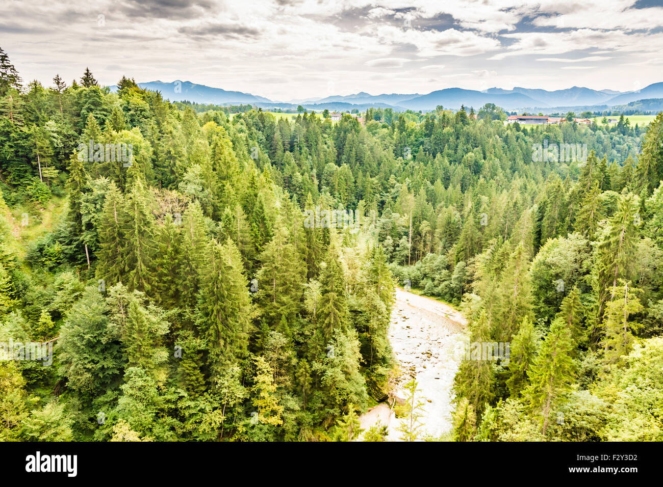 Ammer hi-res stock photography and images - Alamy