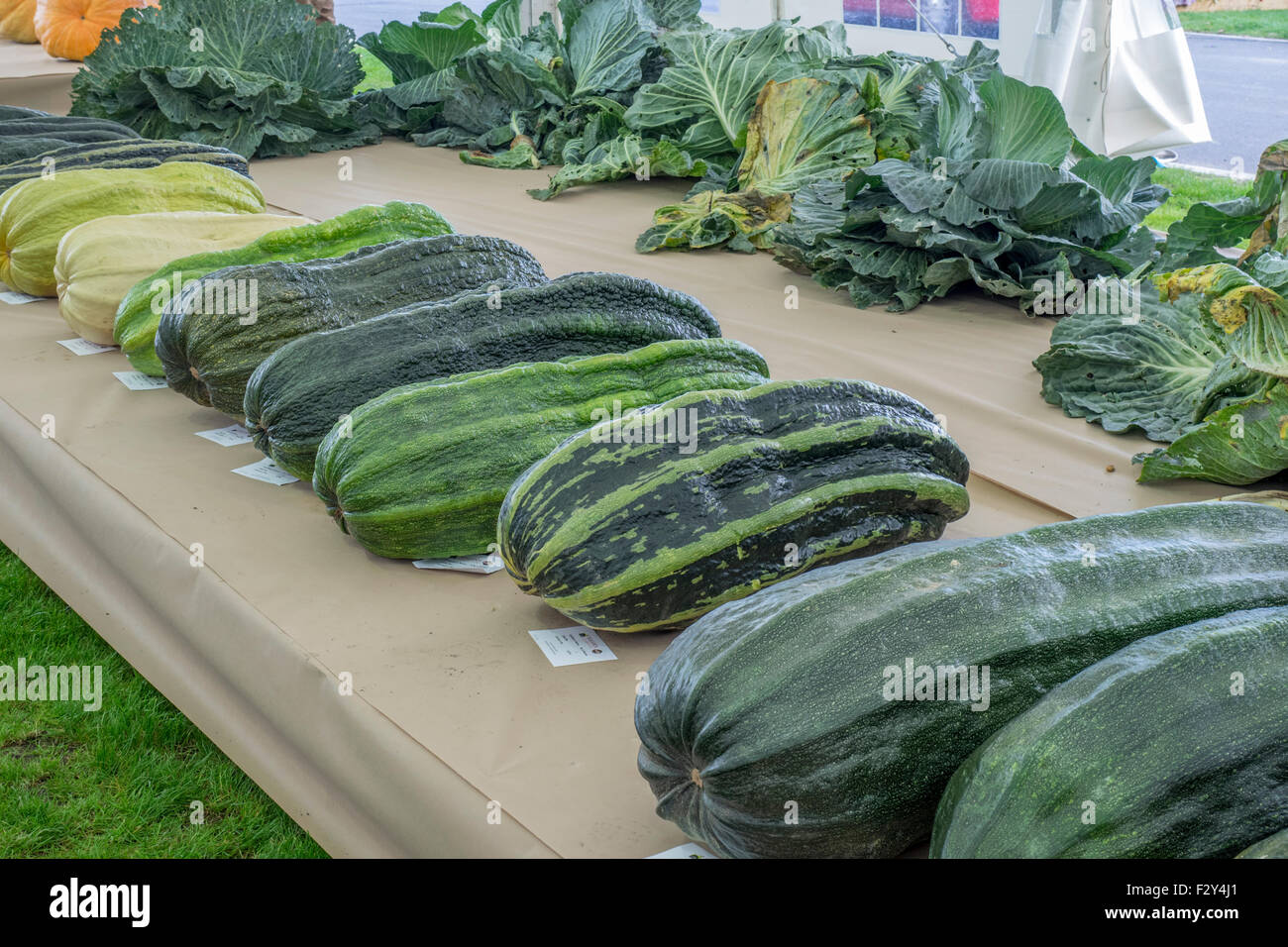 Malvern, Worcestershire, UK. 25th September, 2015. Malvern Autumn Show ...
