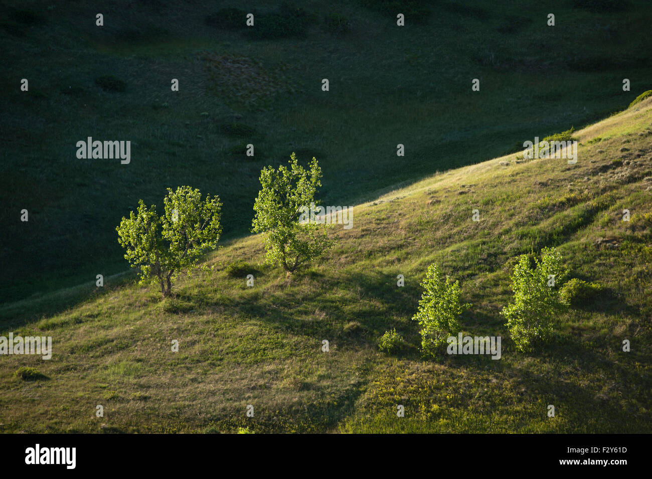 Spring coulee hi-res stock photography and images - Alamy