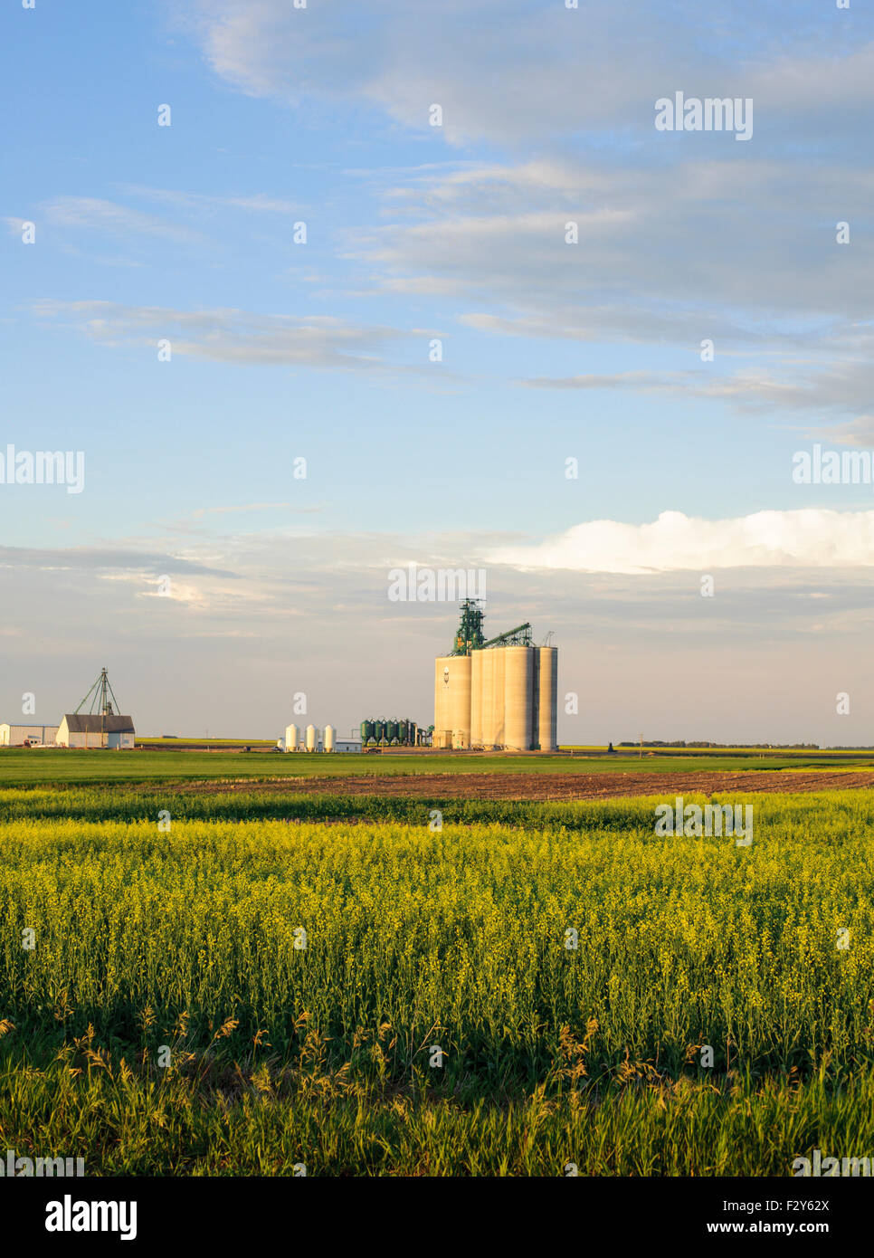 Grain elevator prairies hi-res stock photography and images - Alamy