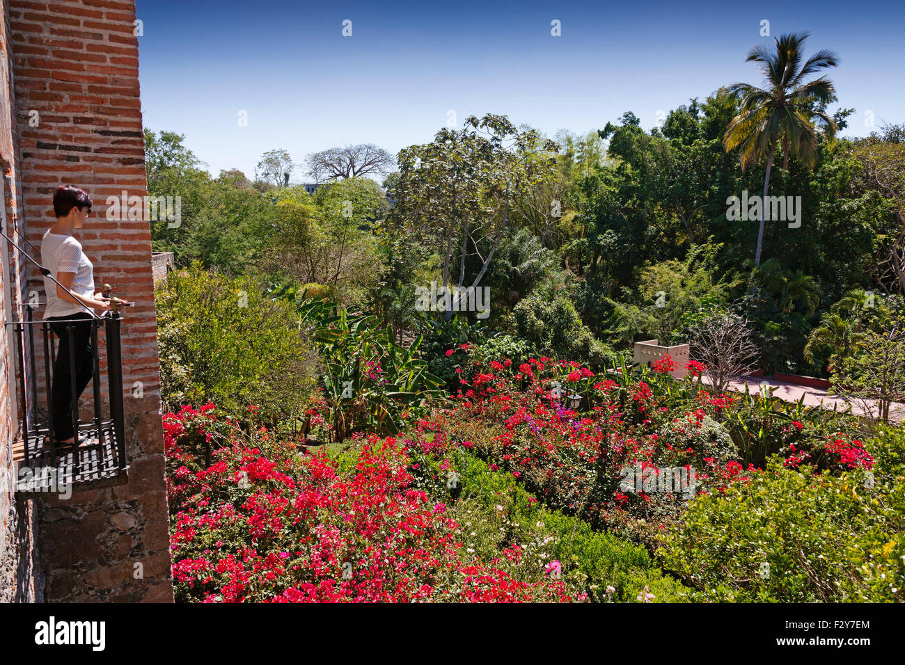 Garden Museo Universitario Alejandro Rangel Hidalgo en Nogueras Colima ...