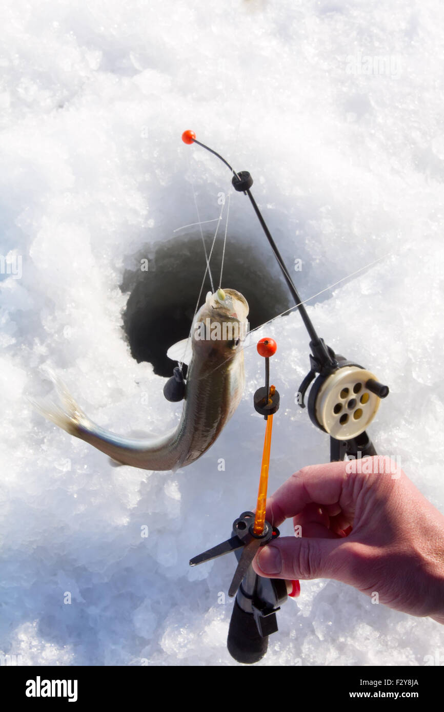 fishing on the Baltic Sea Stock Photo - Alamy