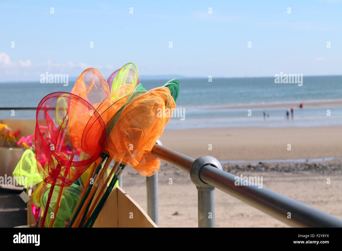 Blue flag saundersfoot hi-res stock photography and images - Alamy