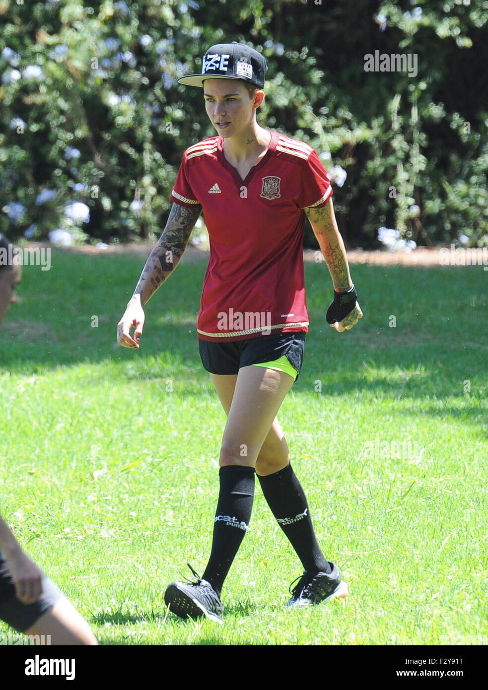 'Orange Is the New Black' actress Ruby Rose and her fiancée Phoebe Dahl ...