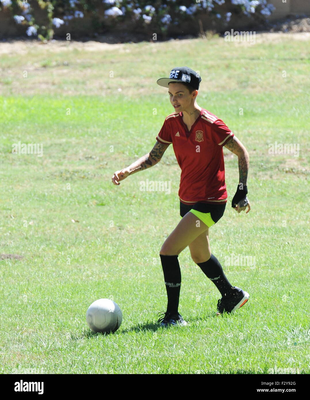 'Orange Is the New Black' actress Ruby Rose and her fiancée Phoebe Dahl ...