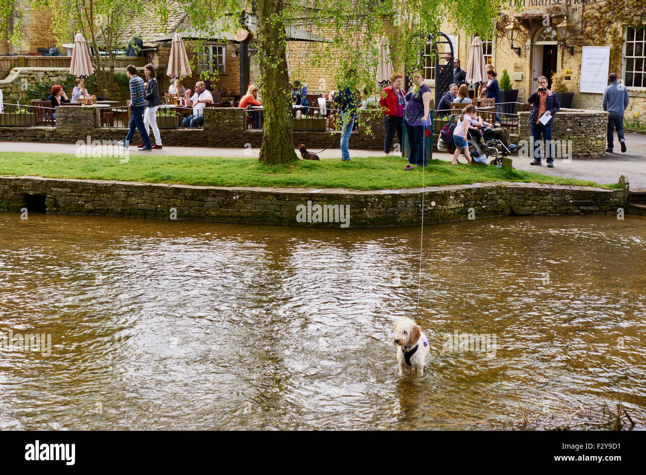 Families children enjoy sunny day hi-res stock photography and images ...