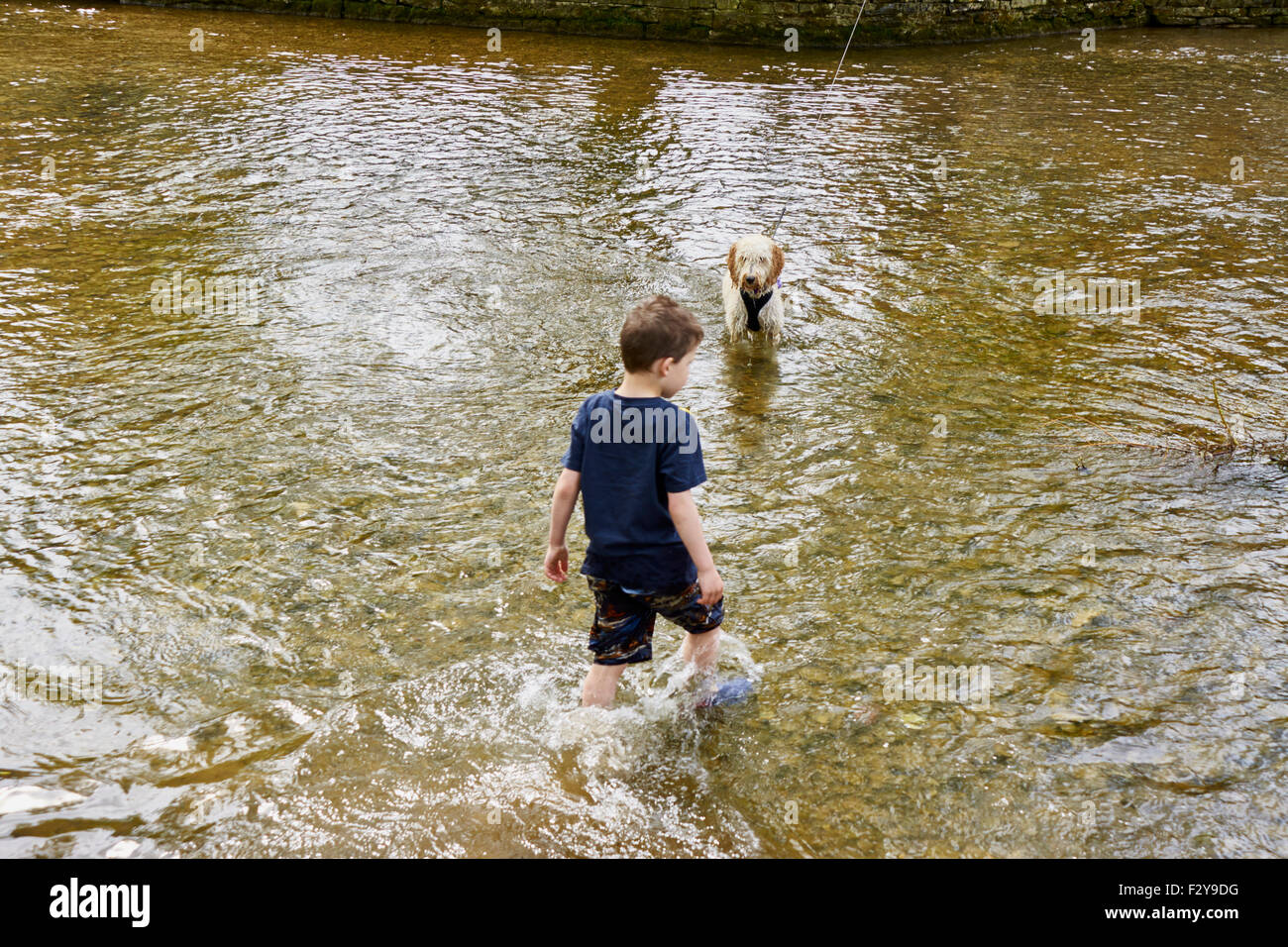 Young boy and dog playing in stream Stock Photo - Alamy