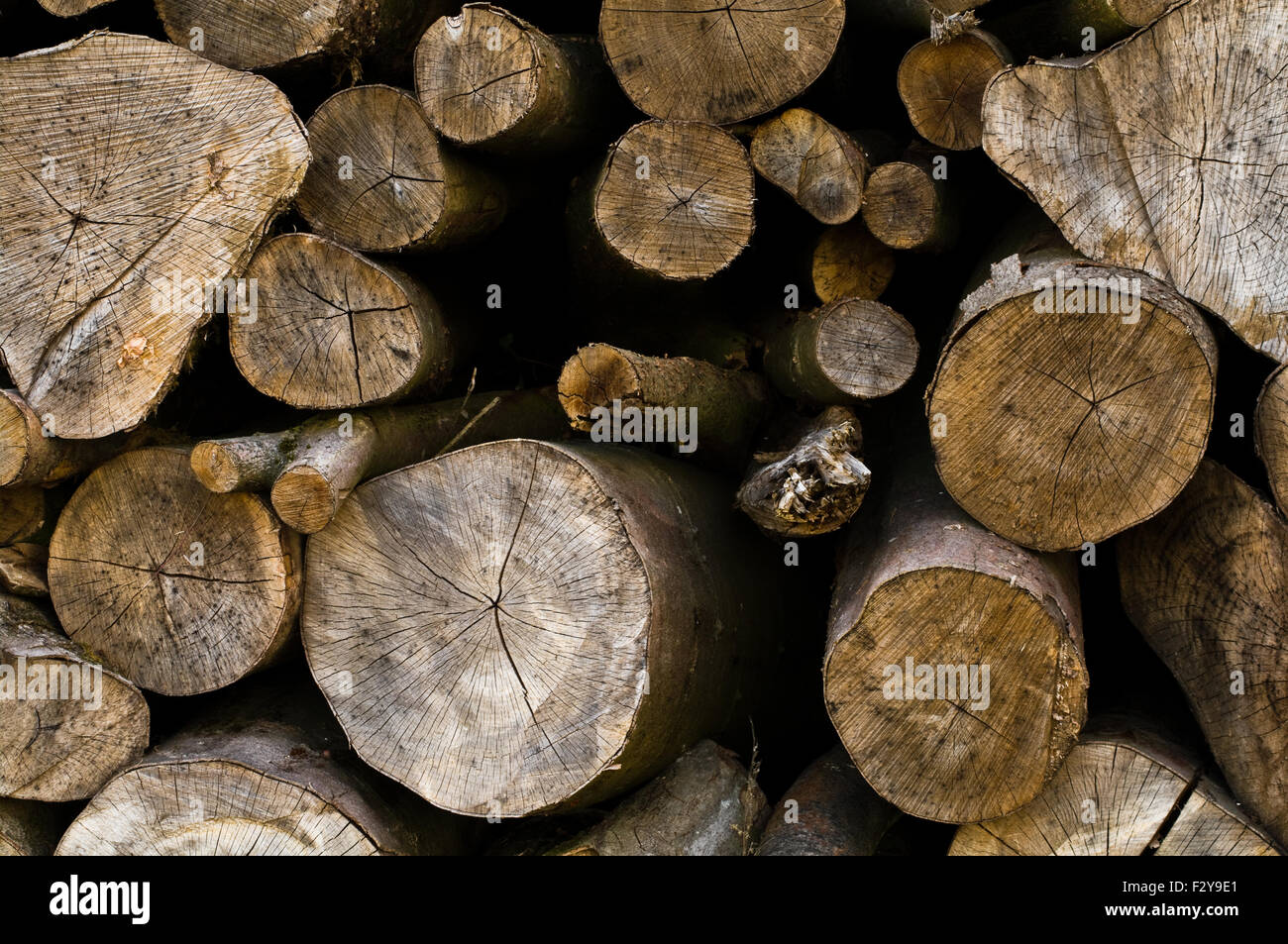 A large pile of chopped wood end-on Stock Photo - Alamy