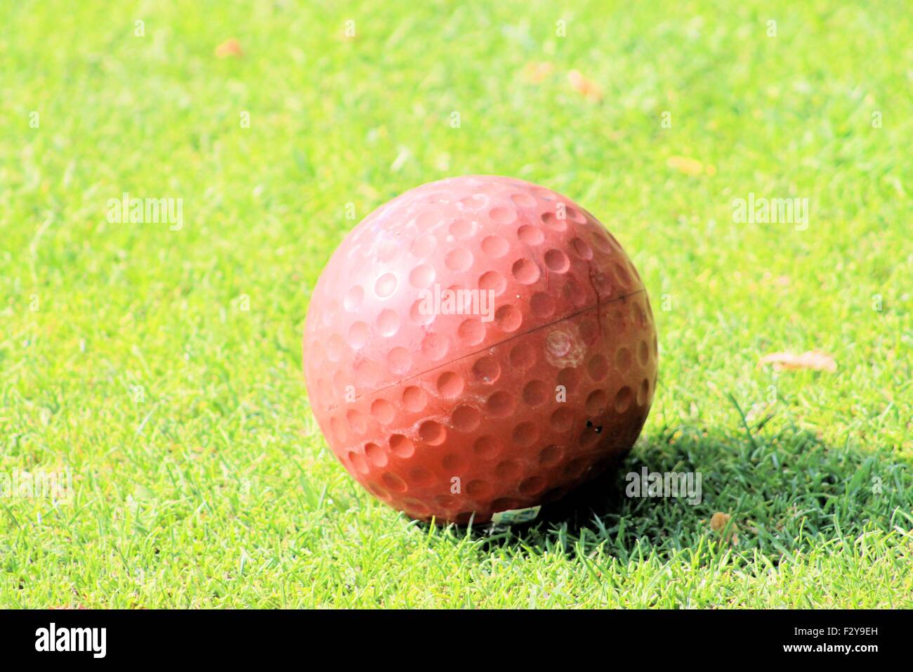 red golf ball Stock Photo - Alamy