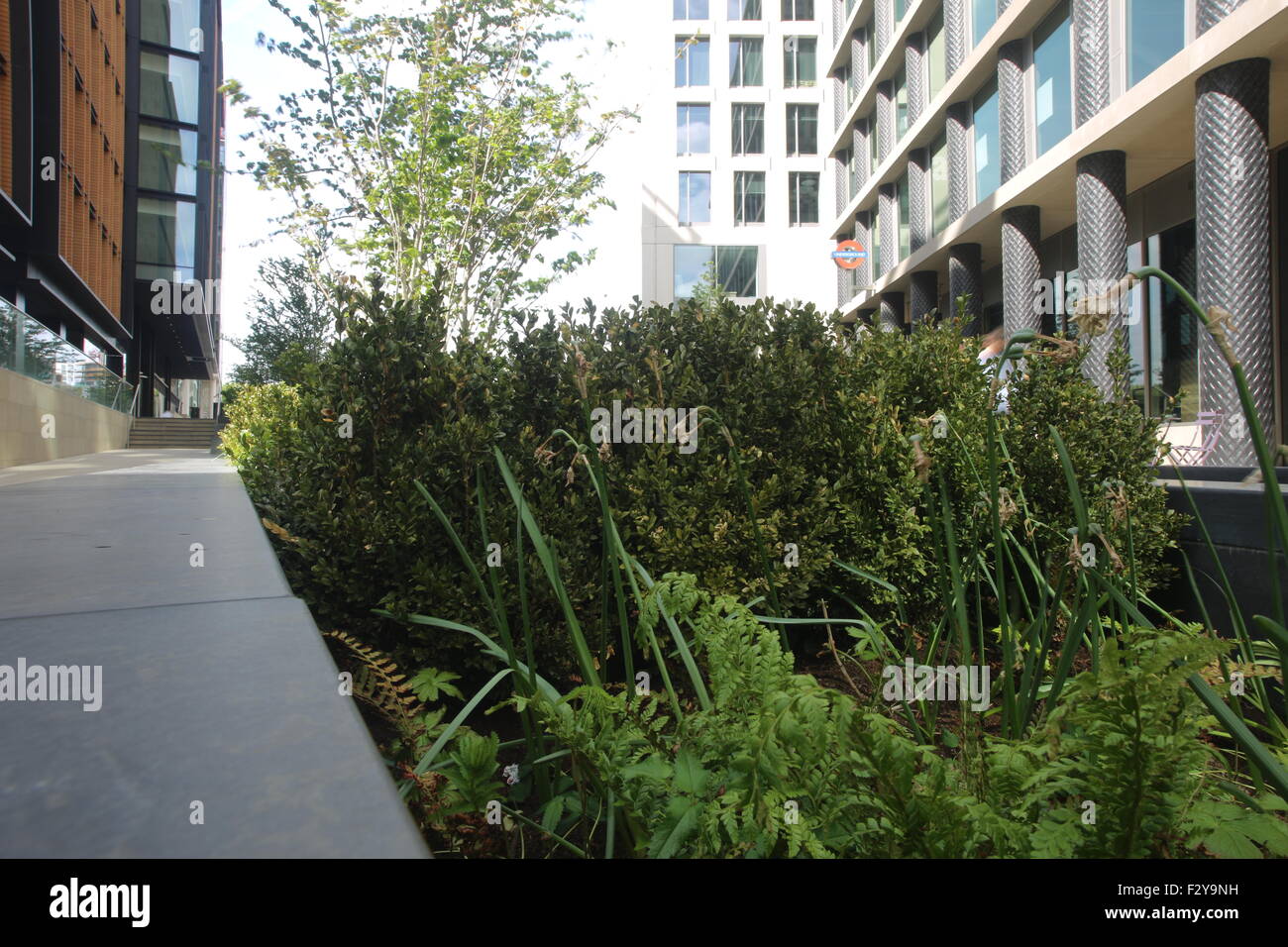 Pancras Square & Cubitt Square, St Pancras, London Stock Photo - Alamy