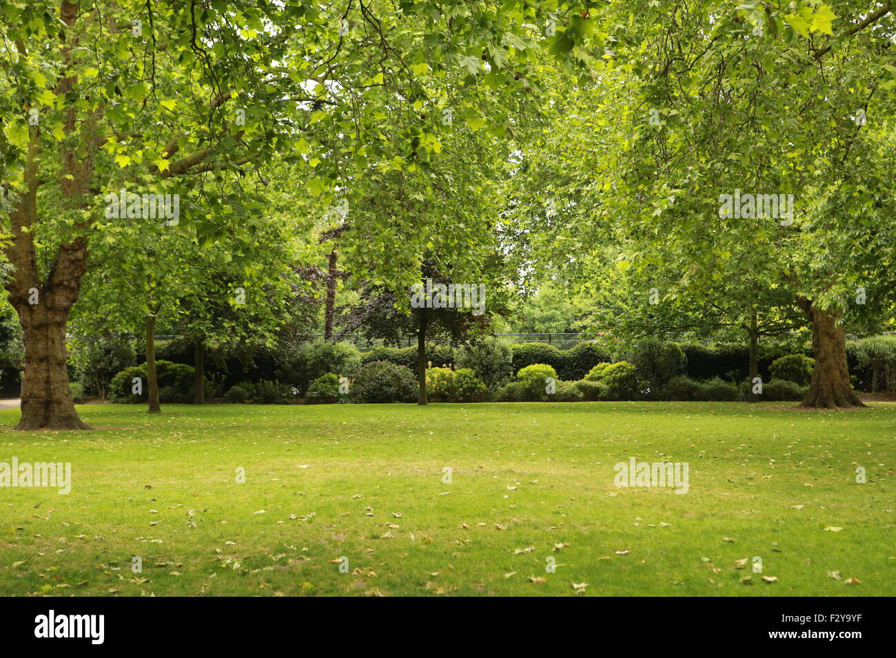 London Open Garden Squares Stock Photo - Alamy