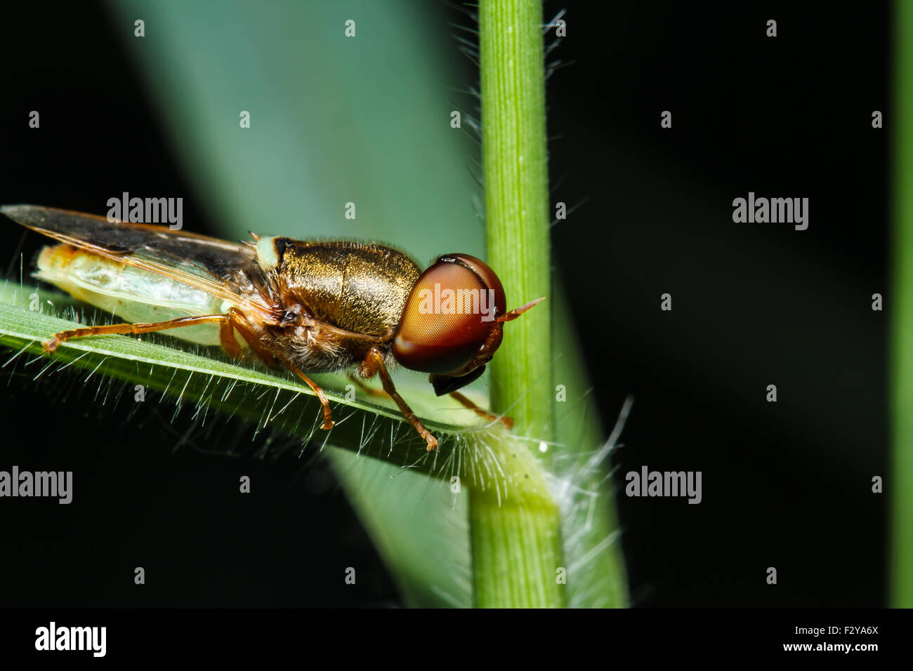 Junk on grass hi-res stock photography and images - Alamy
