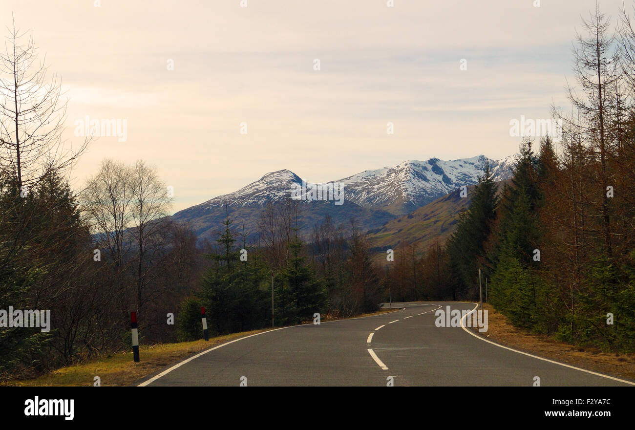 Road to Fort William with Trees on either side and snow covered ...