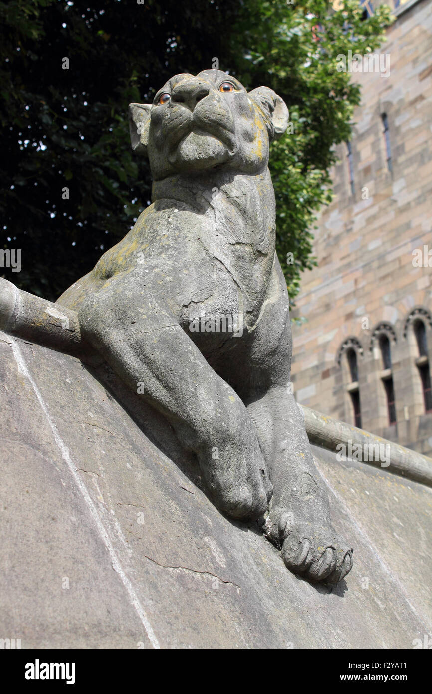 Animal wall cardiff hi-res stock photography and images - Alamy