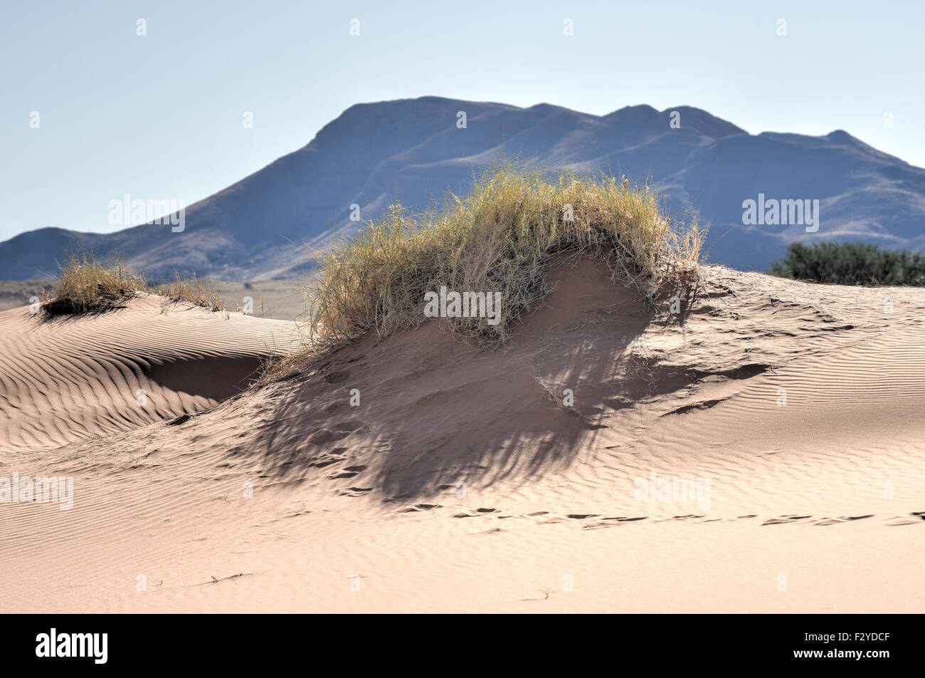 Desert landscape in the NamibRand Nature Reserve in Namibia Stock Photo ...