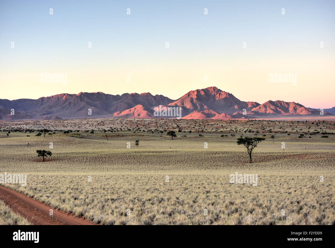 Desert landscape in the NamibRand Nature Reserve in Namibia Stock Photo ...