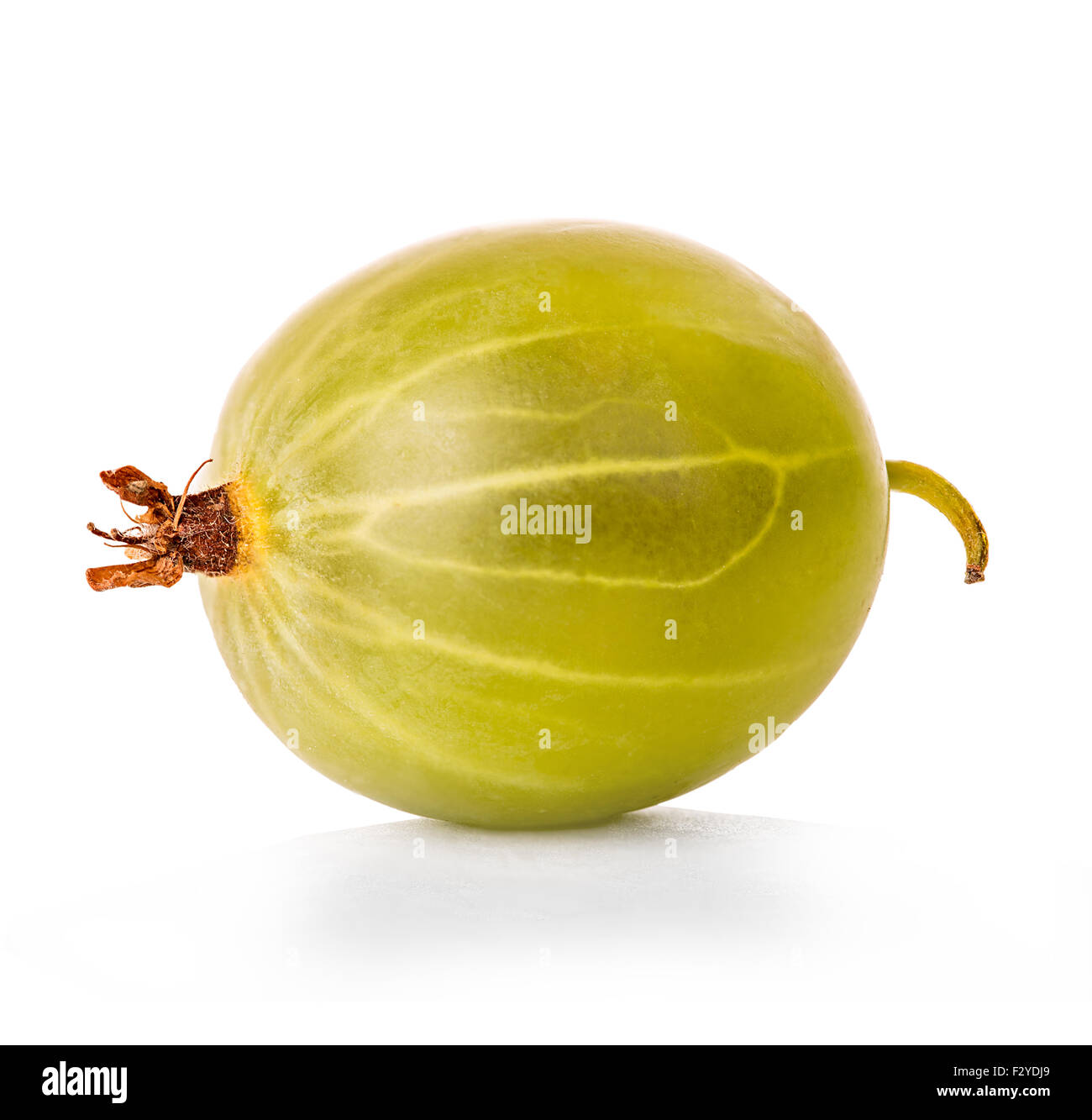Gooseberry isolated on white background Stock Photo - Alamy
