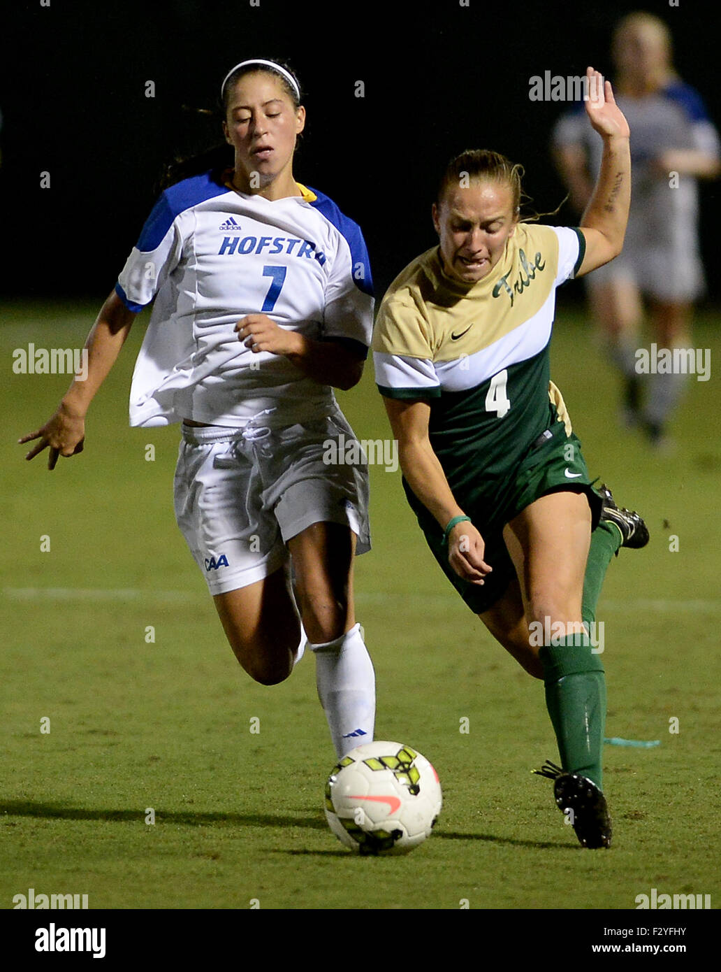 Williamsburg, VA, USA. 25th Sep, 2015. 20150925 - Hofstra defender ...