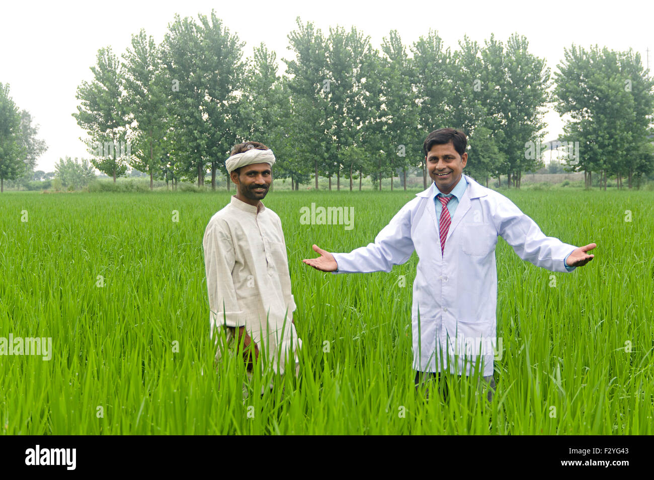 2 indian Doctor and rural farmer Farm Examining Stock Photo - Alamy