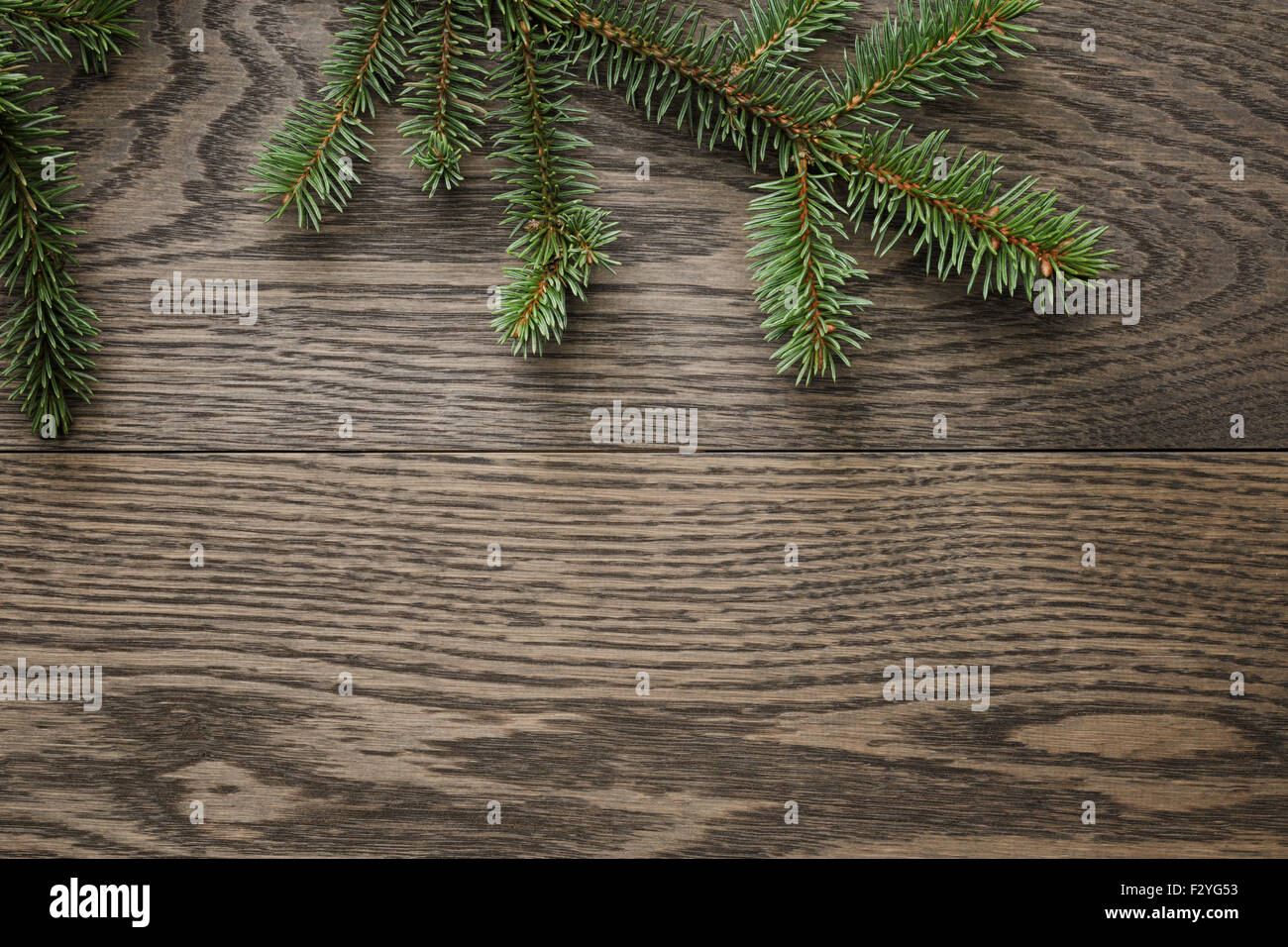 Spruce oak hi-res stock photography and images - Alamy