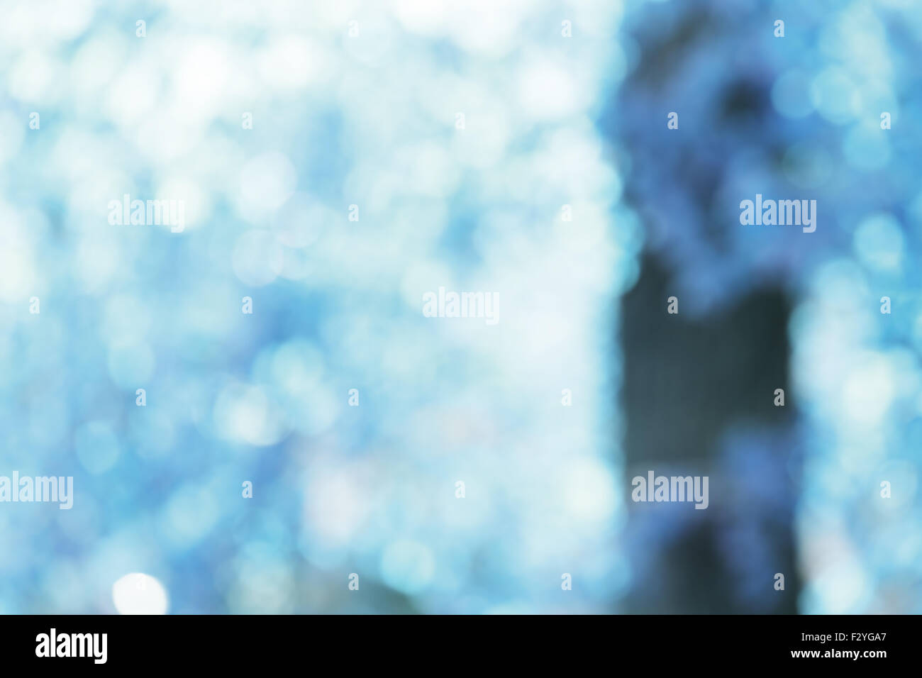 abstract blue natural bokeh blur background Stock Photo - Alamy