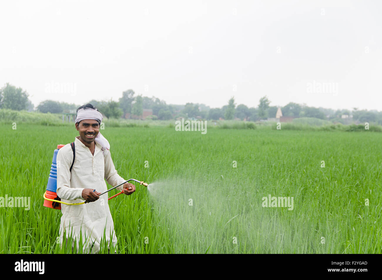 1 indian rural farmer Farm Plants Spraying Stock Photo - Alamy