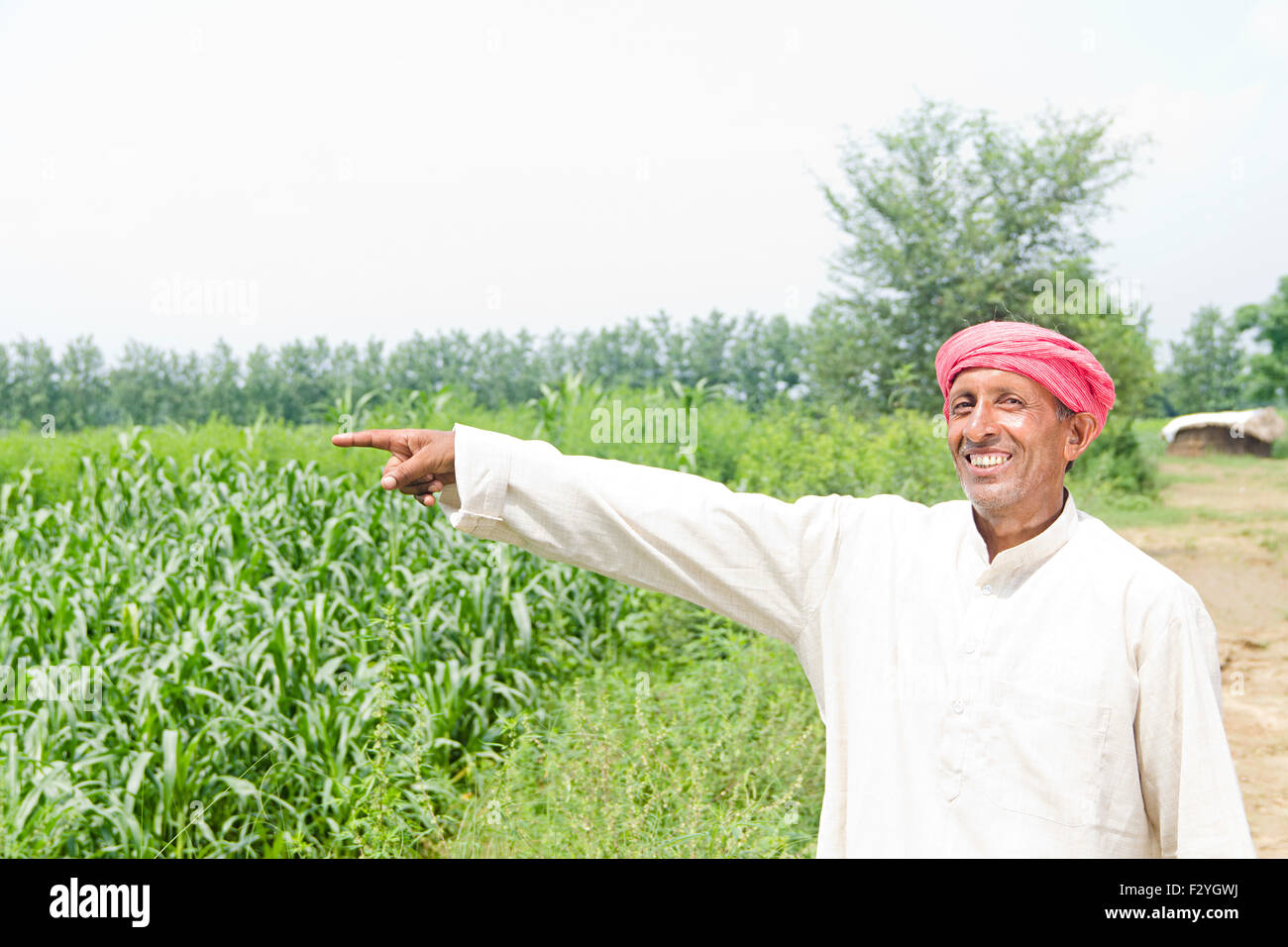 1 indian rural Senior farmer farm finger pointing Stock Photo - Alamy