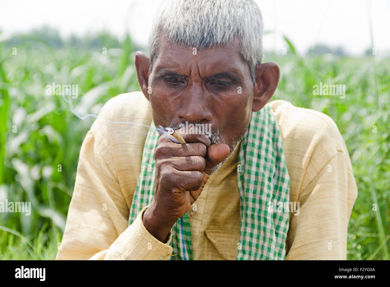 Smoke burn crop india hi-res stock photography and images - Alamy