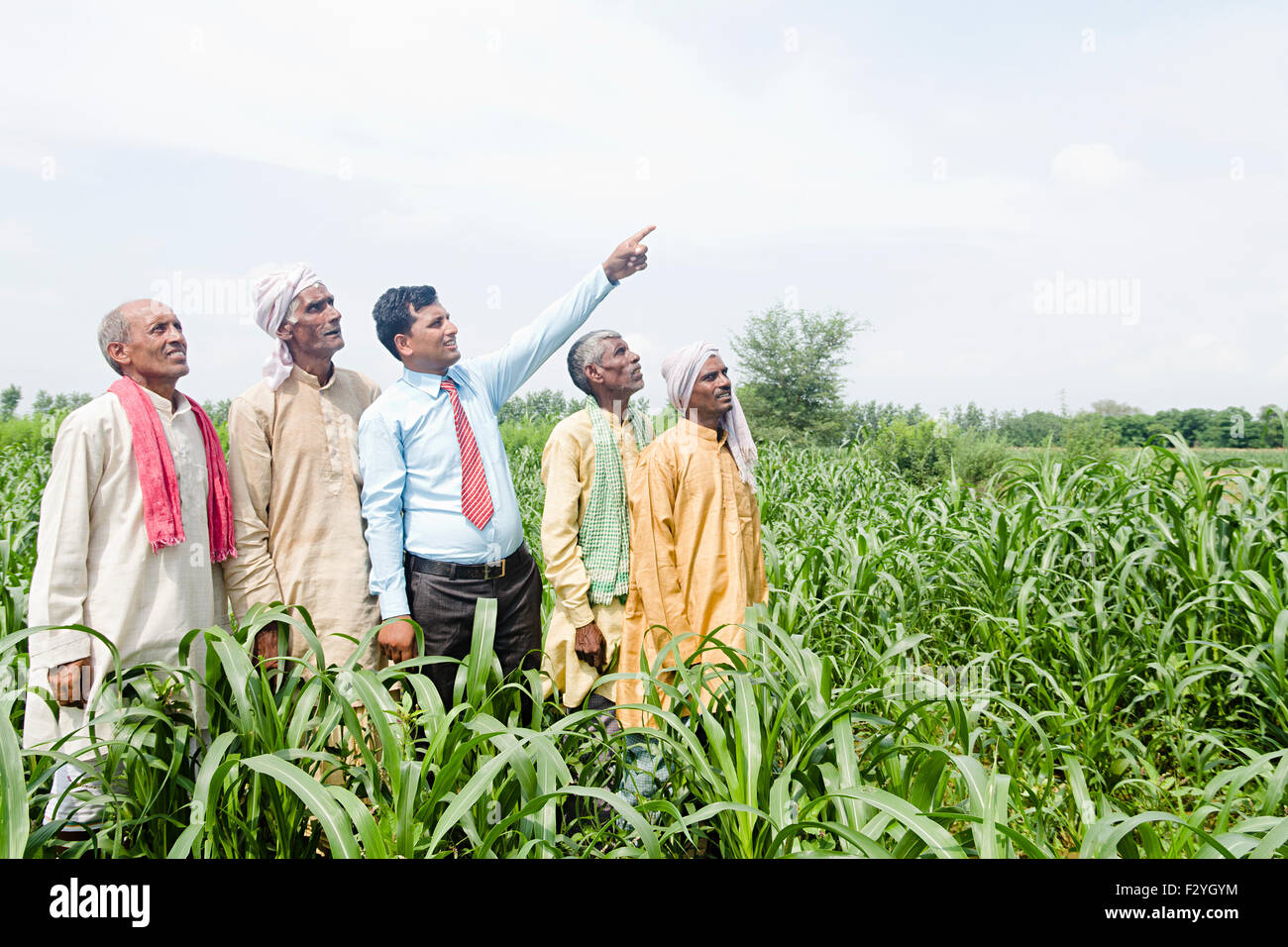 indian group crowds Business Man and rural farmer farm finger pointing ...