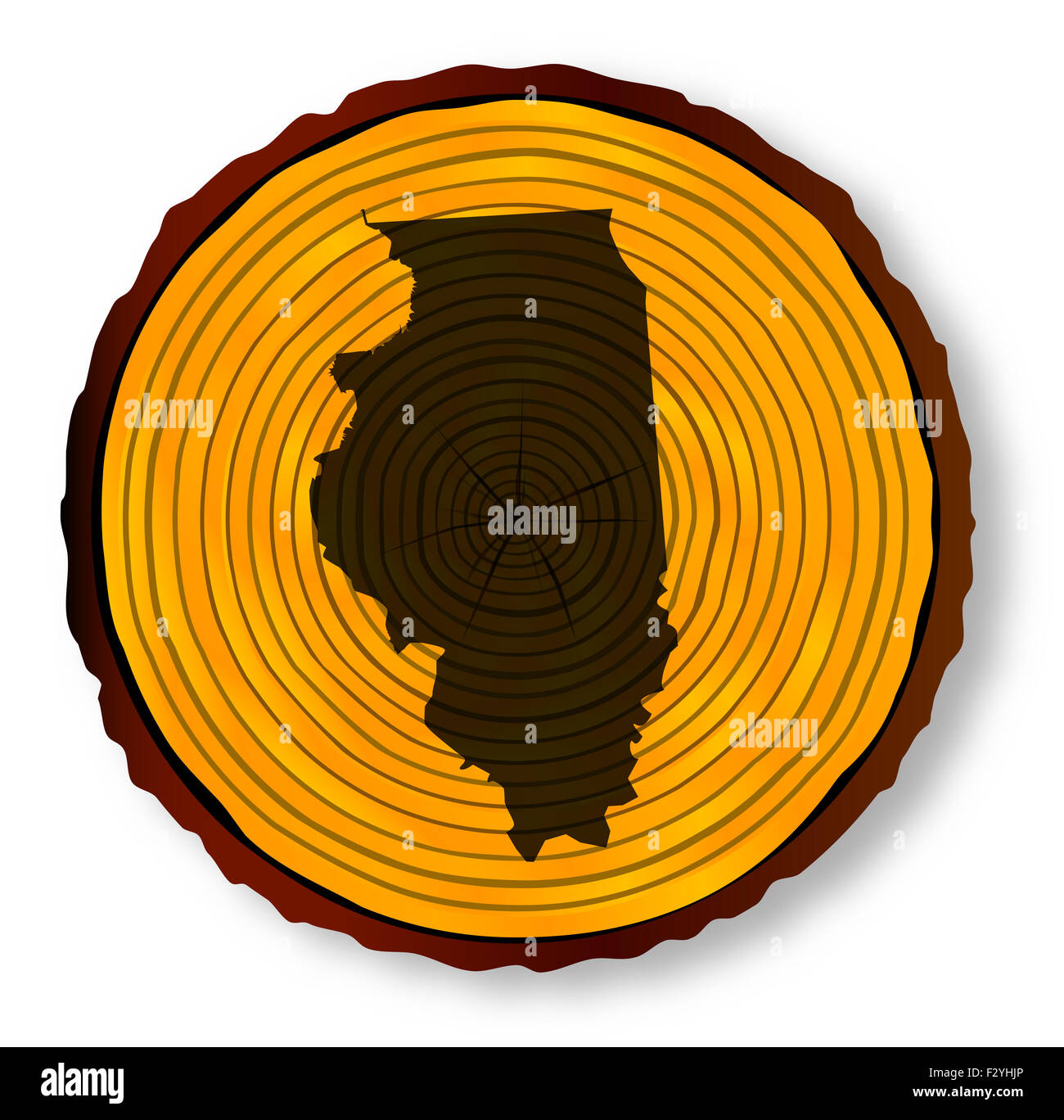 Map of Illinois on a timber end section over a white background Stock ...