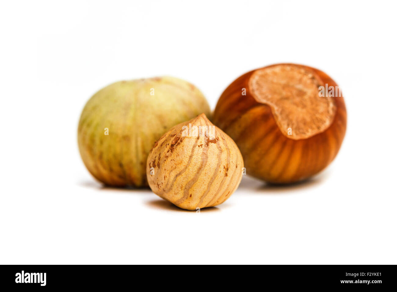 Hazelnut and kernel isolated on white background Stock Photo - Alamy