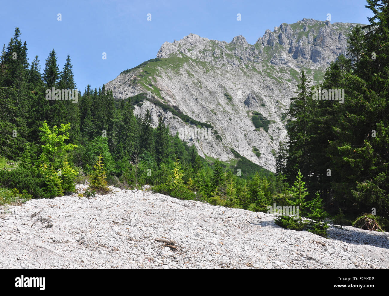 Rubble field with Admonter Kalbling, Austria Stock Photo - Alamy