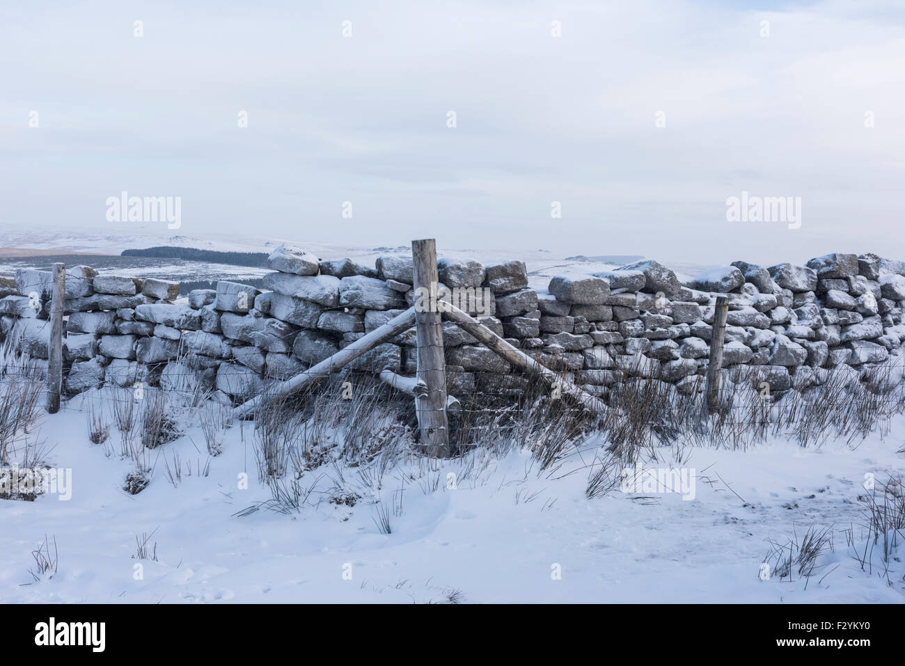 Freezing landscape of Britain's countryside Stock Photo - Alamy