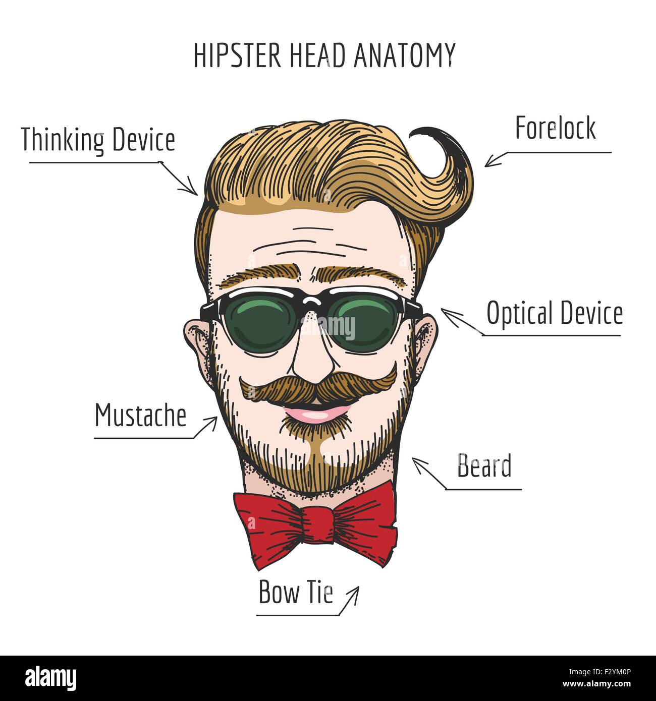 Humorous illustration of Hipster head structure. Free font used ...