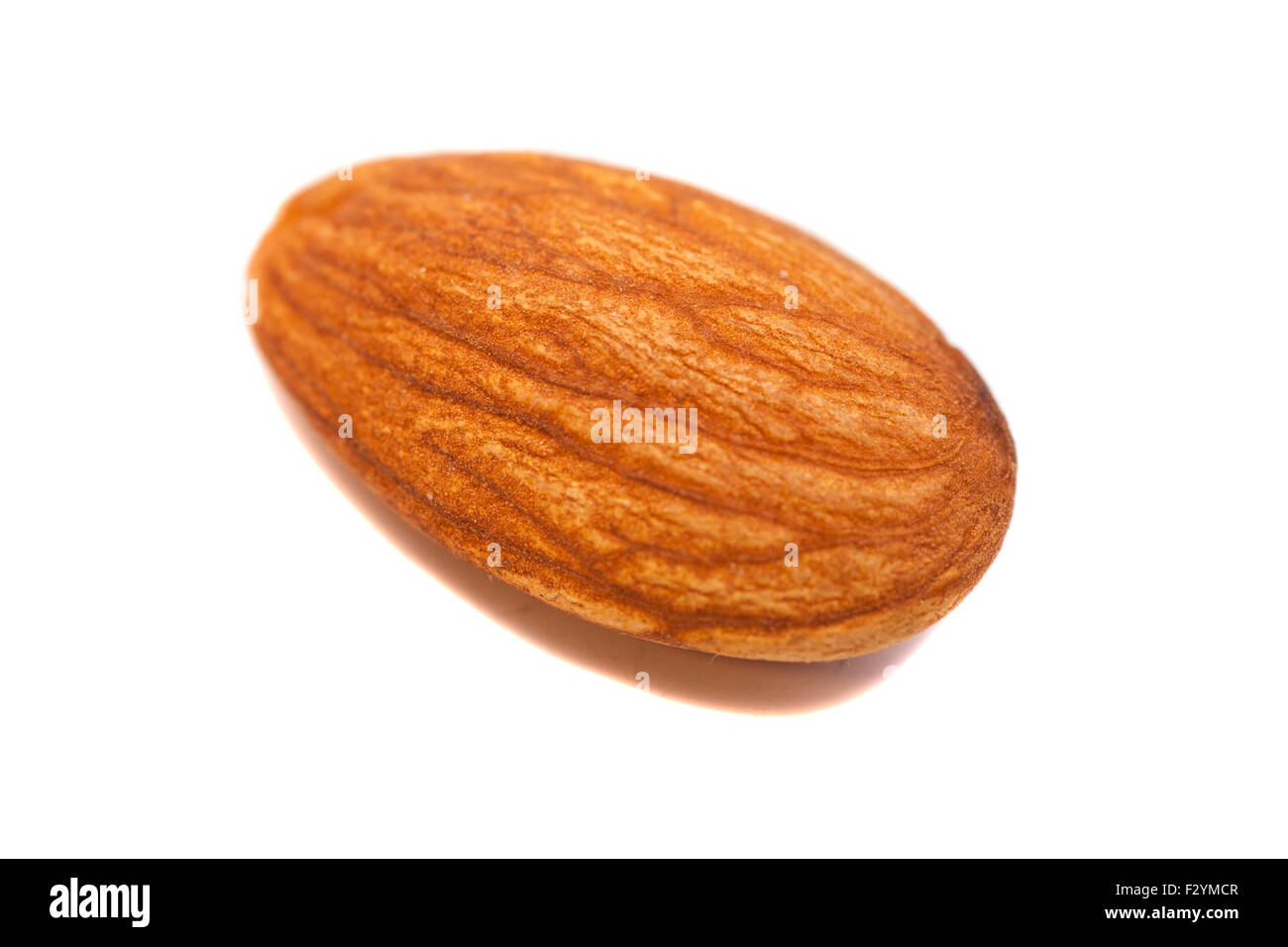 Single Almond Seed Close up Extreme Macro Shot isolated on a white ...