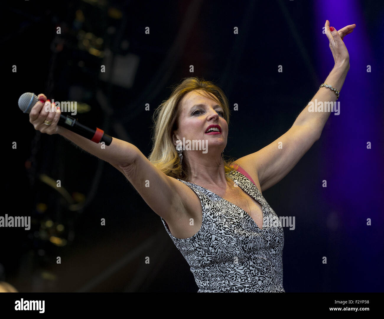 Rewind Festival 2015 - Performances Featuring: Clare Grogan Where ...