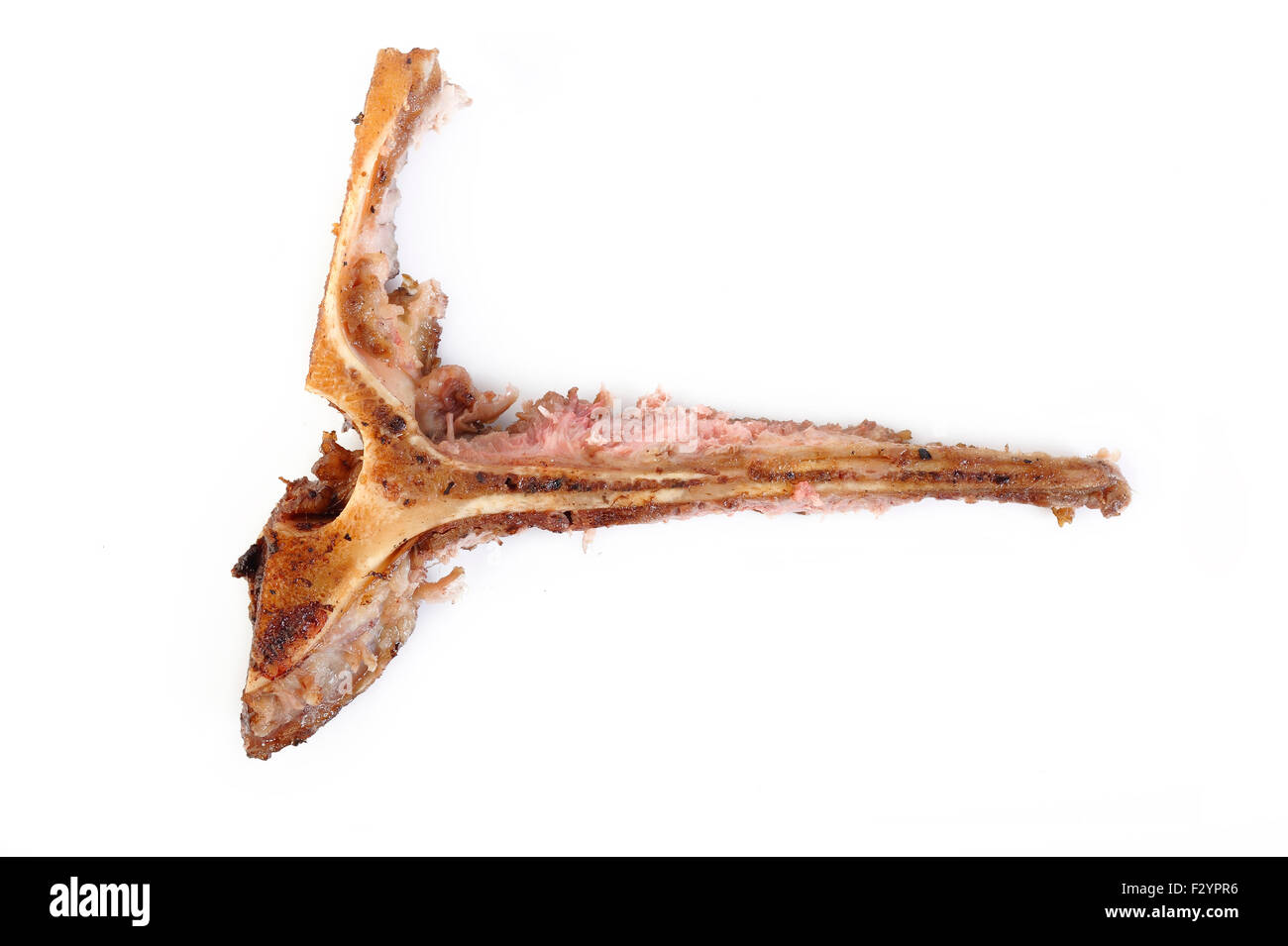 leftovers meat bone on white background Stock Photo - Alamy